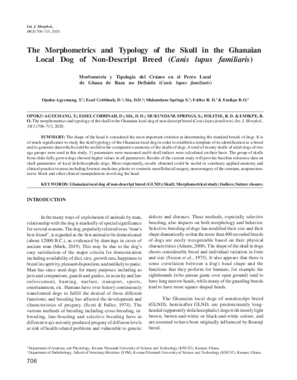(PDF) The Morphometrics and Typology of the Skull in the Ghanaian Local ...