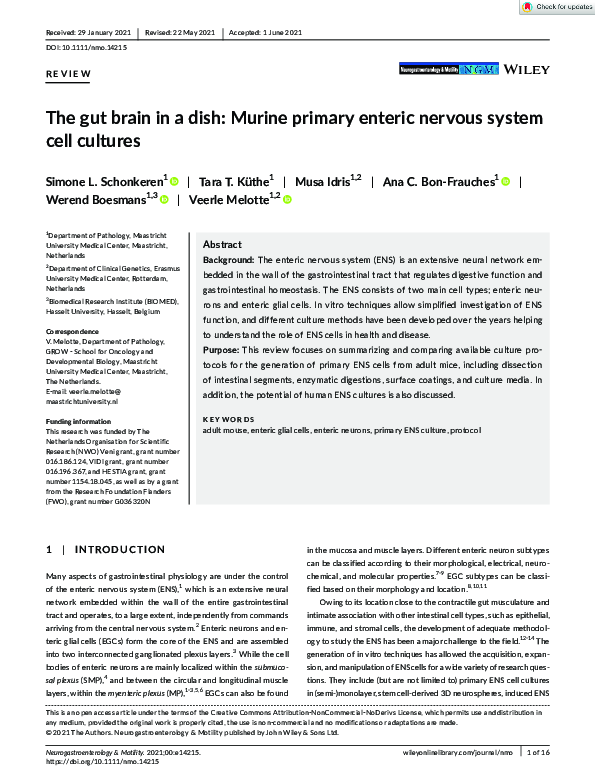 (PDF) The gut brain in a dish: Murine primary enteric nervous system ...