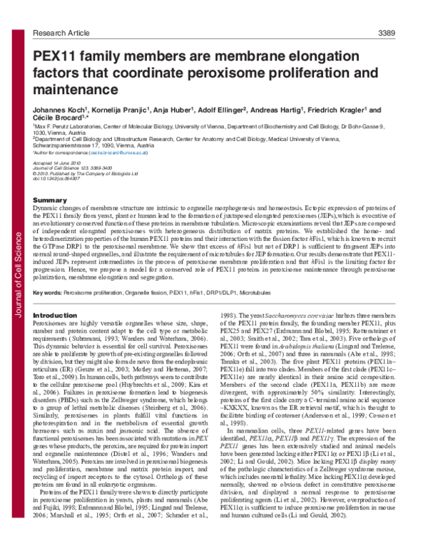 (PDF) PEX11 family members are membrane elongation factors that ...