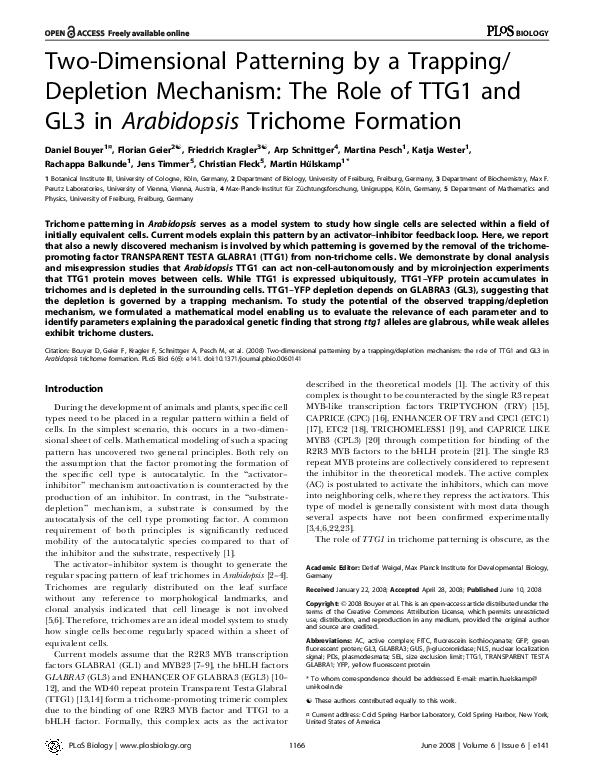 (PDF) Two-Dimensional Patterning by a Trapping/Depletion Mechanism: The Role of TTG1 and GL3 in ...