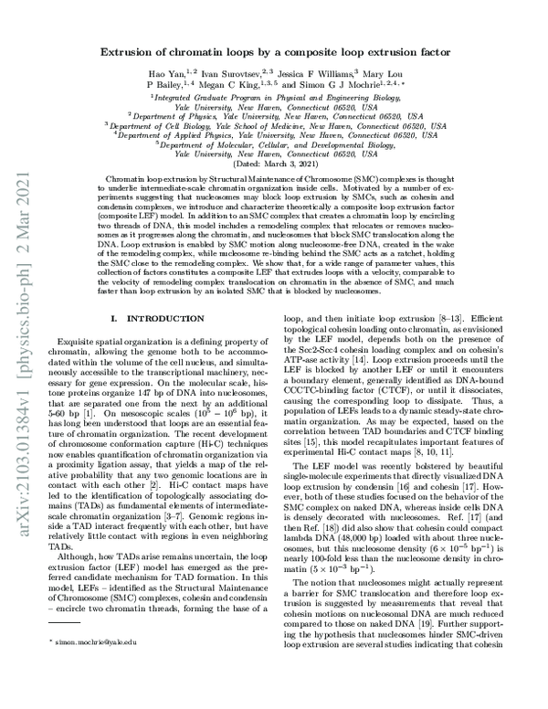 (PDF) Extrusion of chromatin loops by a composite loop extrusion factor