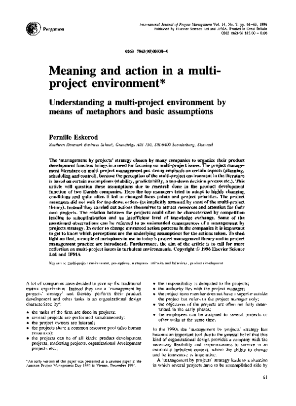 (PDF) Meaning and action in a multi-project environment. Understanding ...