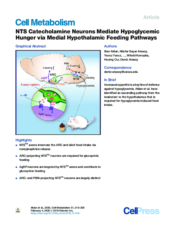 (PDF) NTS Catecholamine Neurons Mediate Hypoglycemic Hunger via Medial ...