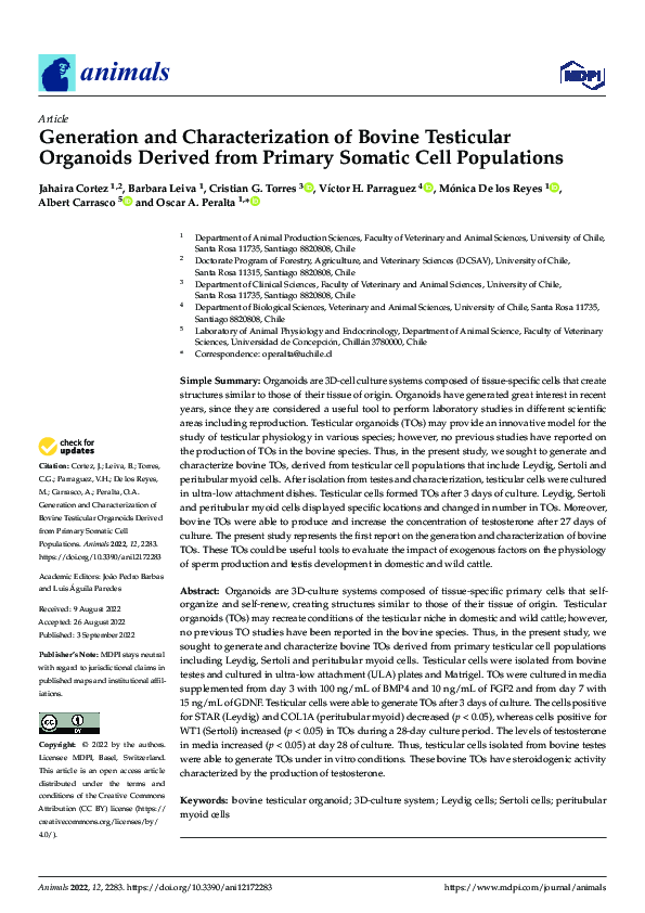 Pdf Generation And Characterization Of Bovine Testicular Organoids
