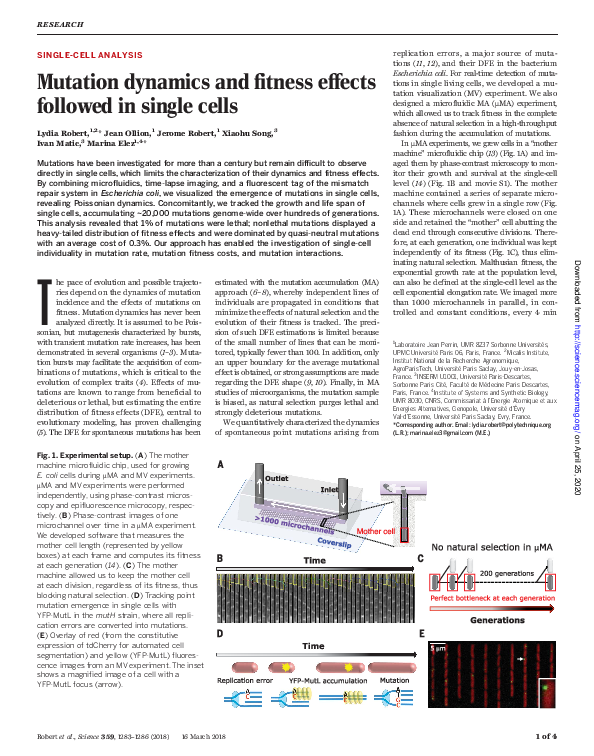 (PDF) Mutation dynamics and fitness effects followed in single cells