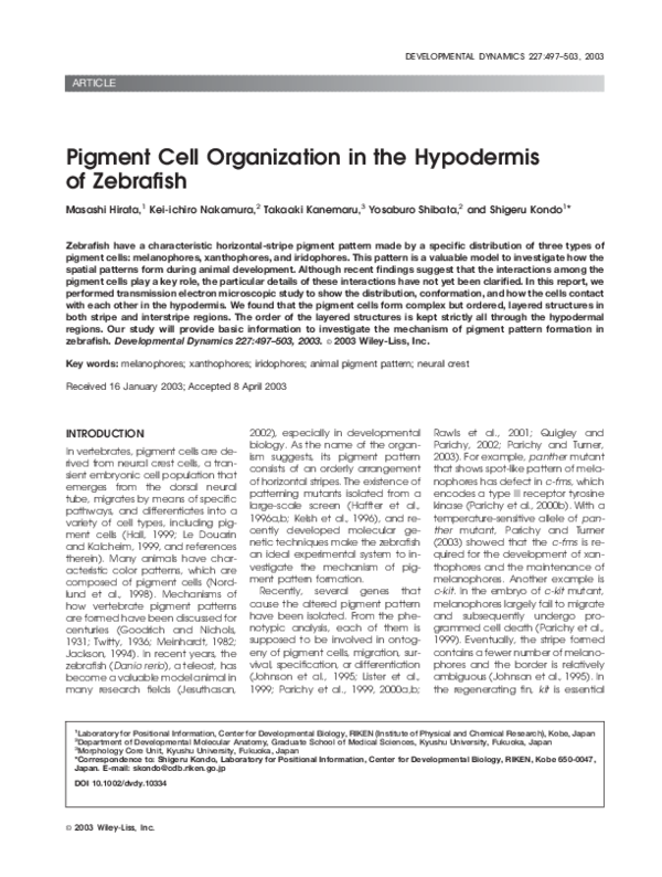 (PDF) Pigment cell organization in the hypodermis of zebrafish