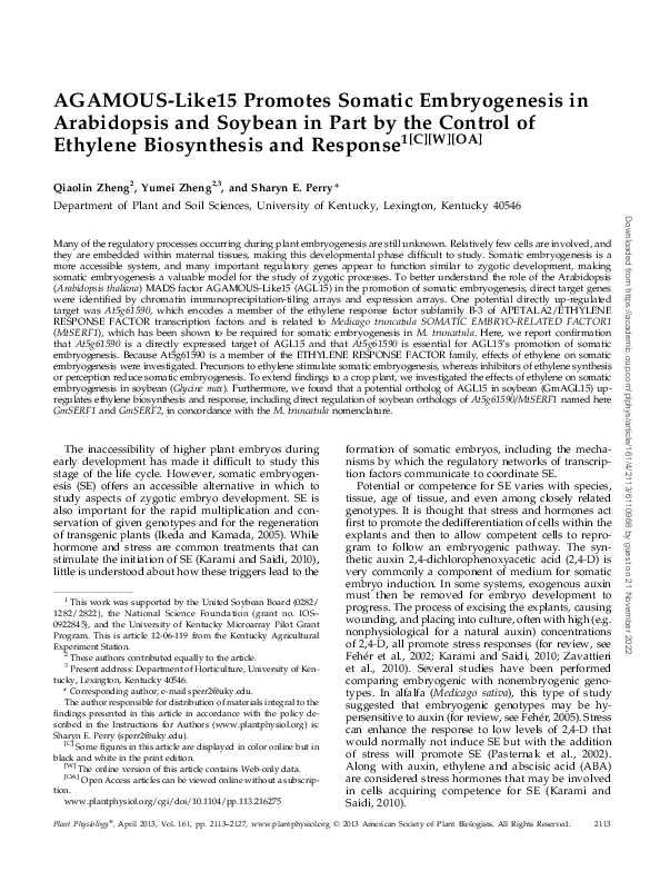 (PDF) AGAMOUS-Like15 Promotes Somatic Embryogenesis in Arabidopsis and ...