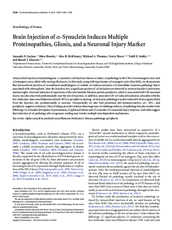 (PDF) Brain injection of α-synuclein induces multiple proteinopathies ...