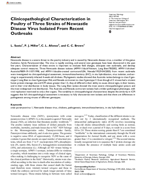 (PDF) Clinicopathological Characterization in Poultry of Three Strains ...