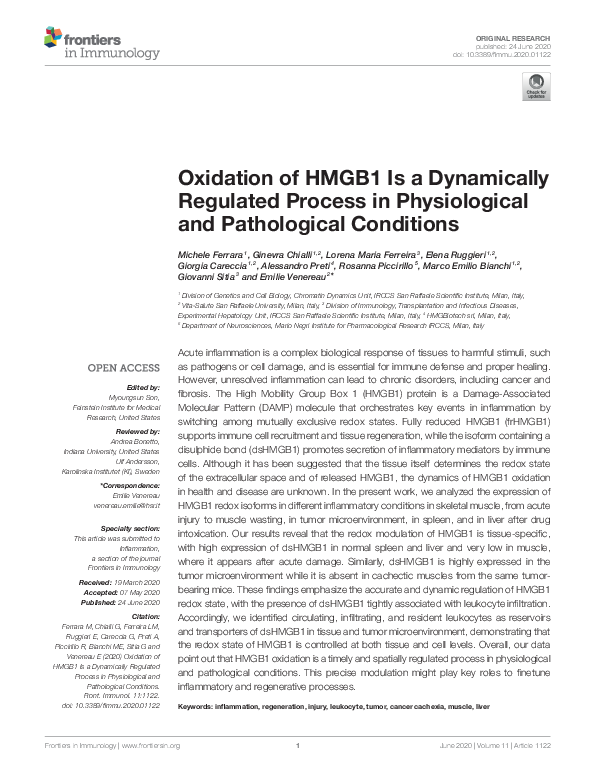 (PDF) Oxidation of HMGB1 Is a Dynamically Regulated Process in Physiological and Pathological ...