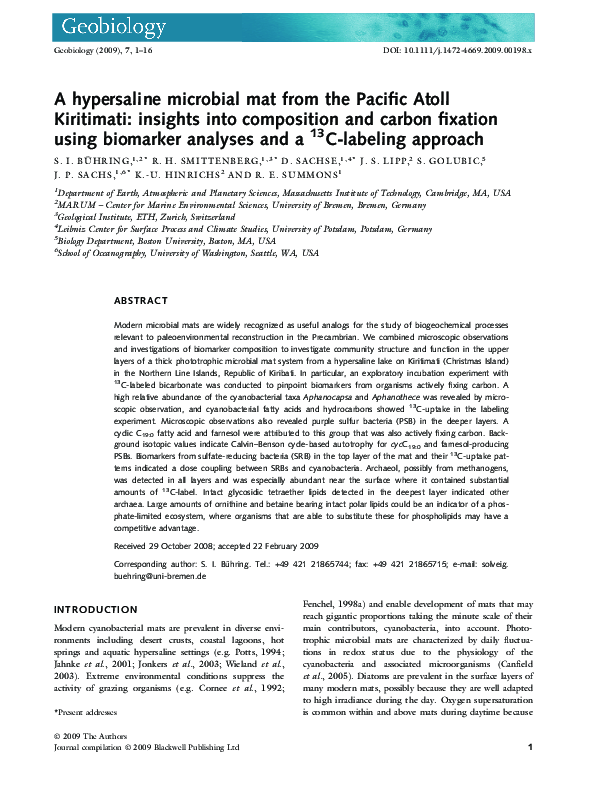 (PDF) A hypersaline microbial mat from the Pacific Atoll Kiritimati: insights into composition ...
