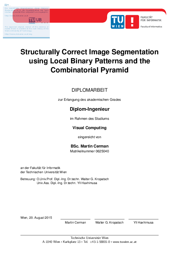 (PDF) Structurally correct image segmentation using local binary patterns and the combinatorial ...