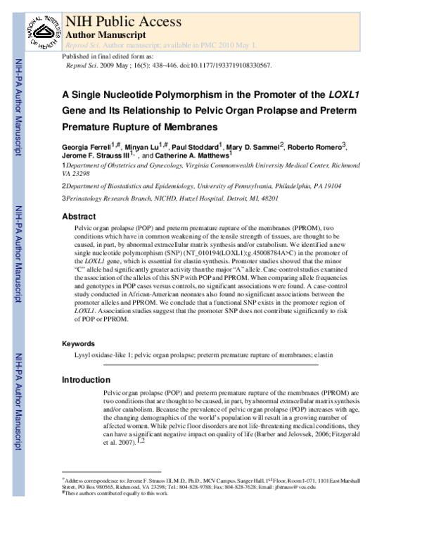 (PDF) A Single Nucleotide Polymorphism in the Promoter of the LOXL1 Gene and Its Relationship to ...