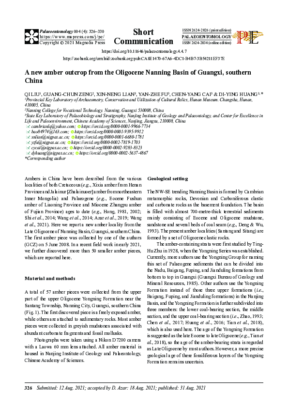 (PDF) A new amber outcrop from the Oligocene Nanning Basin of Guangxi ...