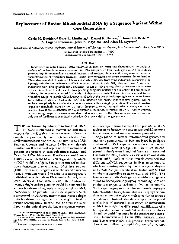 (PDF) Replacement of bovine mitochondrial DNA by a sequence variant ...