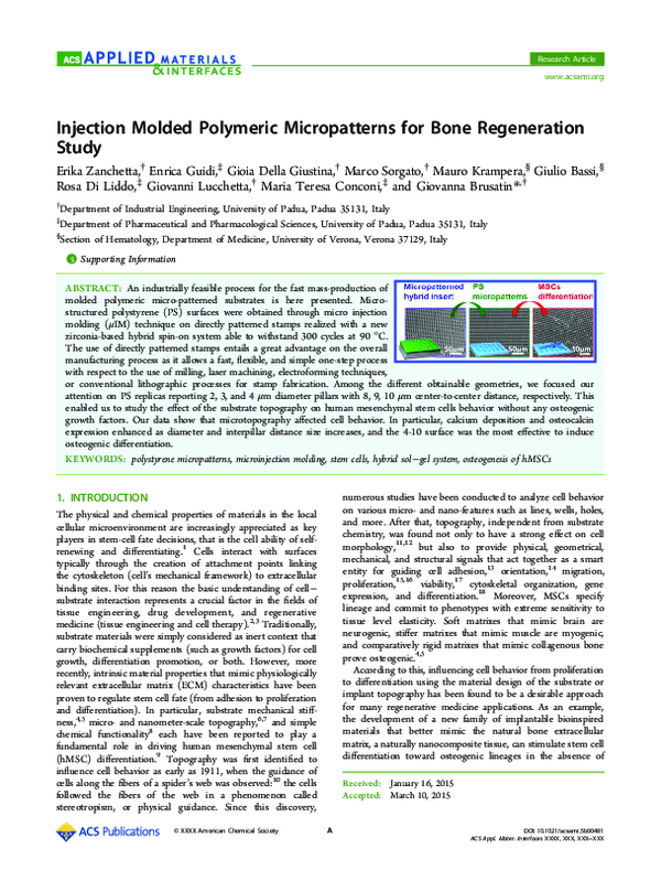 (PDF) Injection Molded Polymeric Micropatterns for Bone Regeneration Study | giovanna brusatin ...