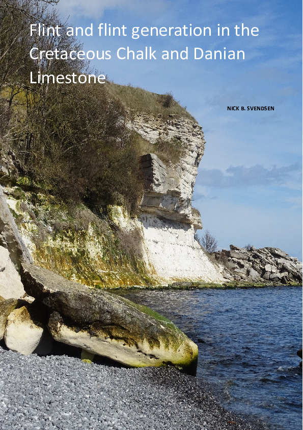 (PDF) Flint and flint generation in the Cretaceous Chalk and Danian ...