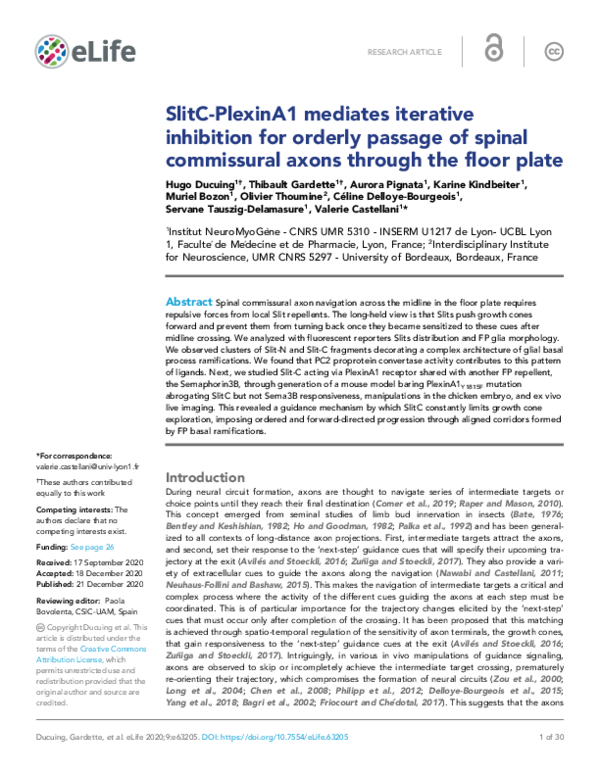 (PDF) SlitC-PlexinA1 mediates iterative inhibition for orderly passage ...