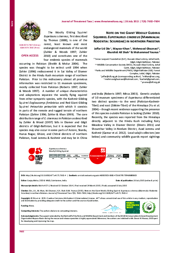 (PDF) Note on the Giant Woolly Gliding Squirrel Eupetaurus cinereus ...