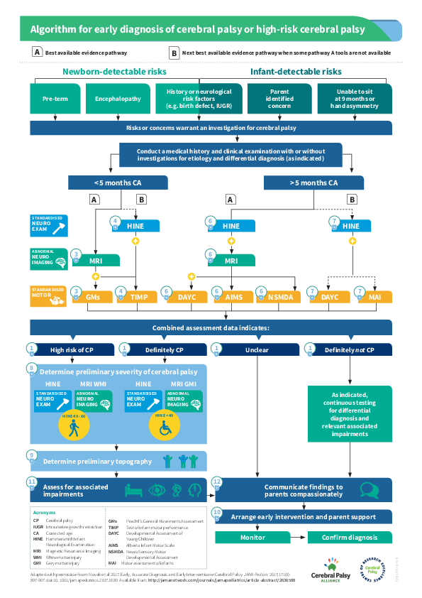 (PDF) Algorithm for the Early Diagnosis of Cerebral Palsy Clinical ...