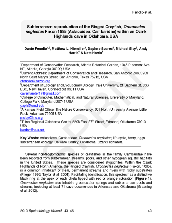 (PDF) Subterranean reproduction of the Ringed Crayfish, Orconectes ...
