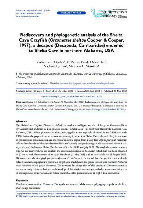 (PDF) Rediscovery and phylogenetic analysis of the Shelta Cave Crayfish ...