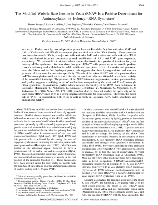 (PDF) The Modified Wobble Base Inosine in Yeast tRNAIle Is a Positive ...