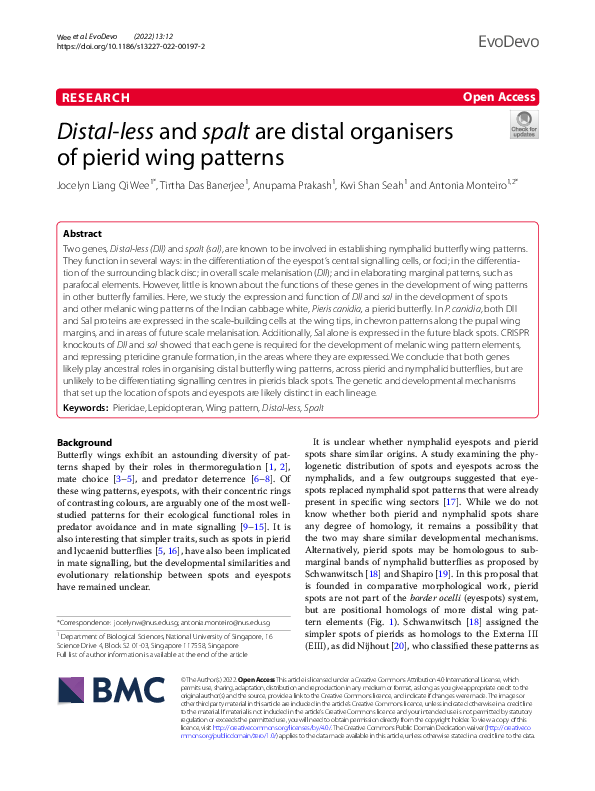 (PDF) Distal-less and spalt are distal organisers of pierid wing patterns