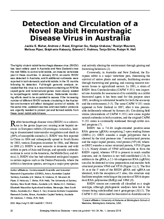 (PDF) Detection and Circulation of a Novel Rabbit Hemorrhagic Disease Virus in Australia