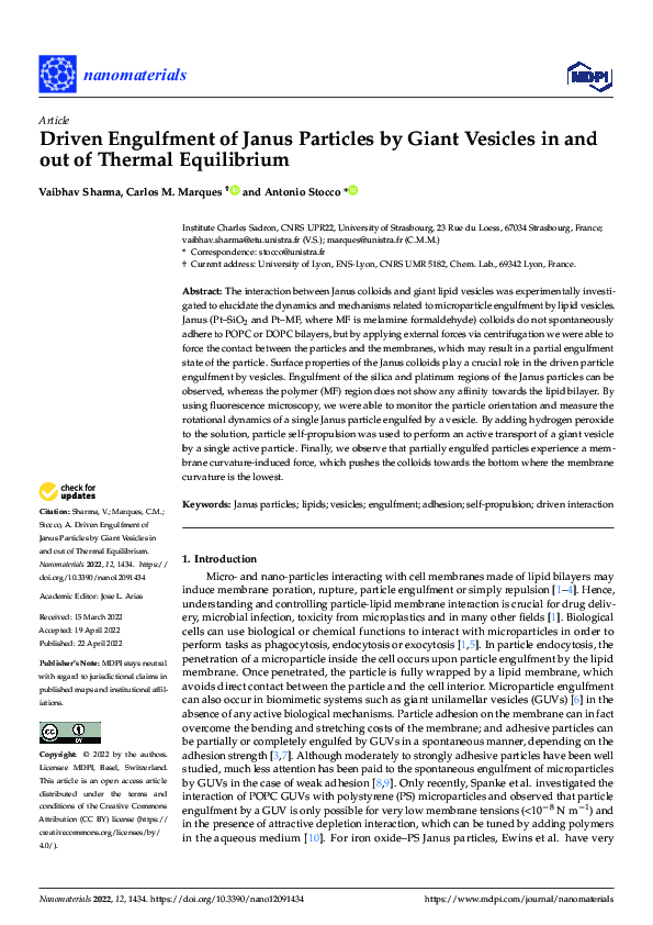 (PDF) Driven Engulfment of Janus Particles by Giant Vesicles in and out ...