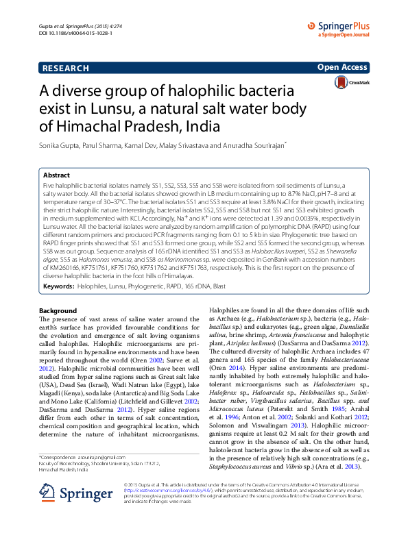 (PDF) A diverse group of halophilic bacteria exist in Lunsu, a natural ...
