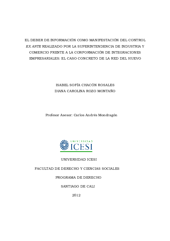 (PDF) El deber de información como manifestación del control ex ante ...