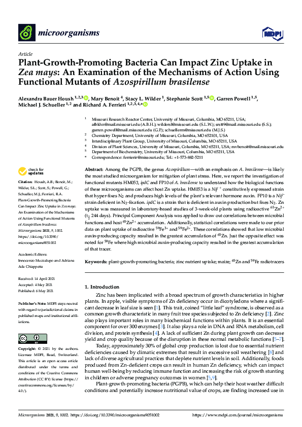 (PDF) Plant-Growth-Promoting Bacteria Can Impact Zinc Uptake in Zea mays: An Examination of the ...