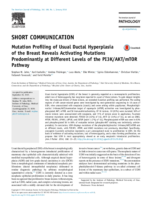 (PDF) Mutation Profiling of Usual Ductal Hyperplasia of the Breast ...