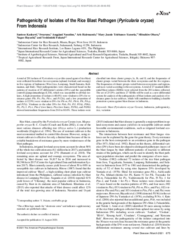 (PDF) Pathogenicity of Isolates of the Rice Blast Pathogen (Pyricularia ...