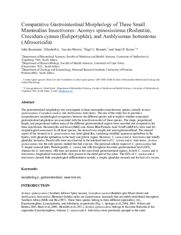 (PDF) Comparative gastrointestinal morphology of three small mammalian ...