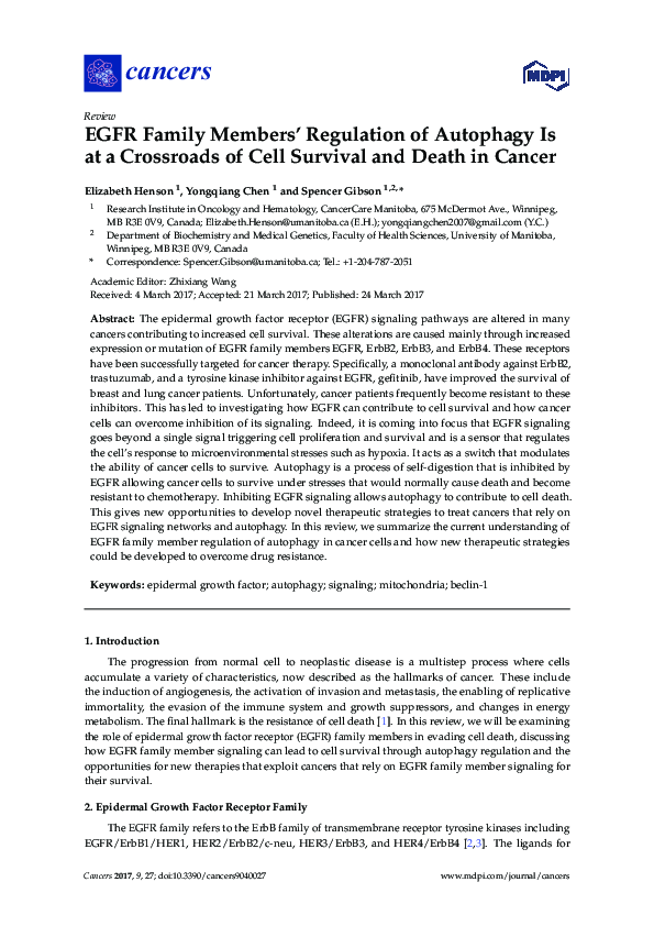 (PDF) EGFR Family Members' Regulation of Autophagy Is at a Crossroads ...