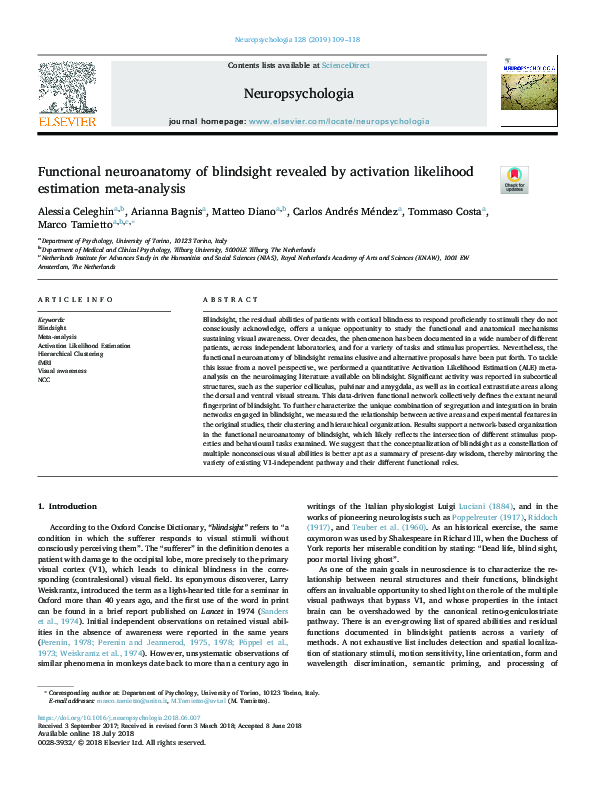 (PDF) Functional neuroanatomy of blindsight revealed by activation ...