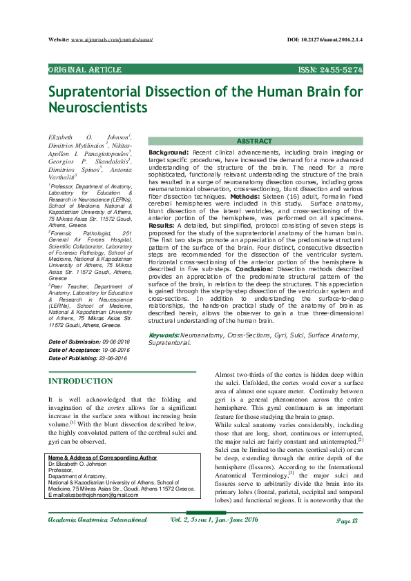 (PDF) Supratentorial Dissection of the Human Brain for Neuroscientists