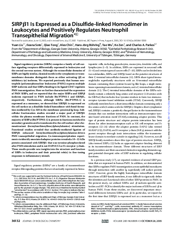 (PDF) SIRPβ1 Is Expressed as a Disulfide-linked Homodimer in Leukocytes ...
