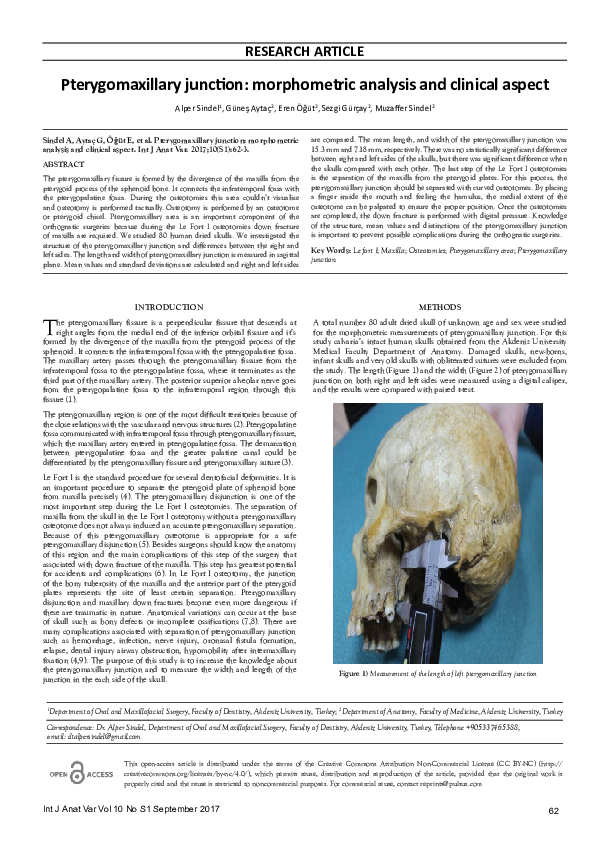 (PDF) Pterygomaxillary junction: morphometric analysis and clinical aspect