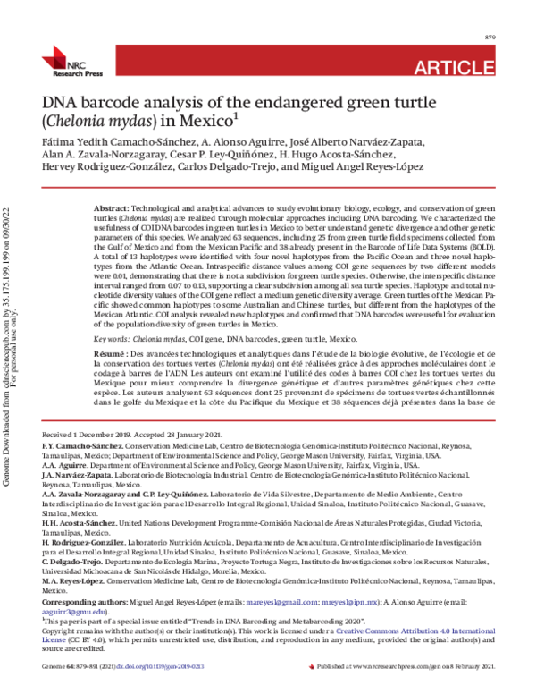 (PDF) DNA barcode analysis of the endangered green turtle (Chelonia ...