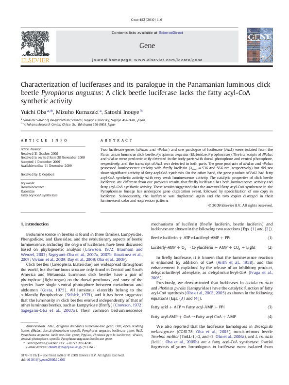 (PDF) Characterization of luciferases and its paralogue in the ...