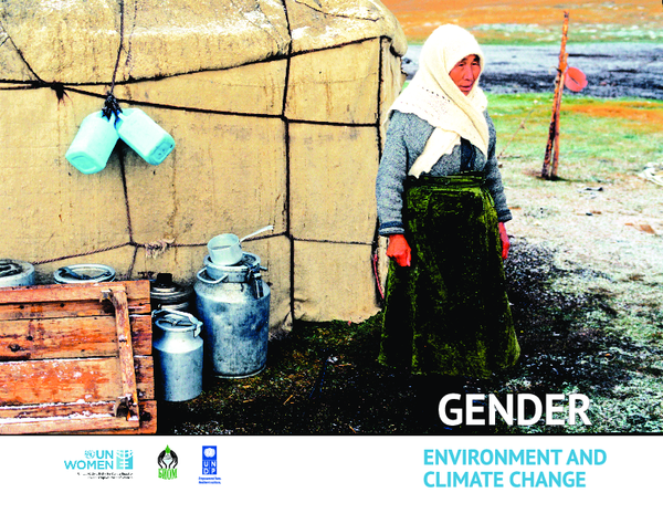 (PDF) Gender, environment and climate change