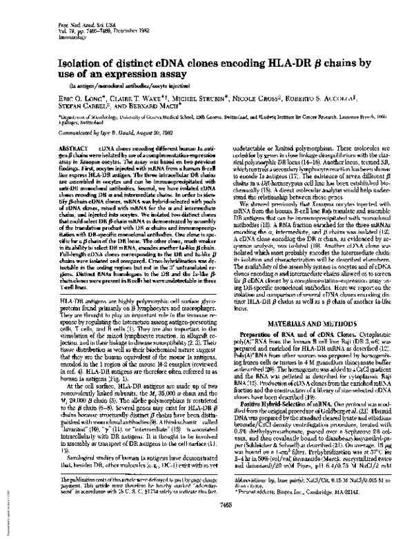 (PDF) Isolation of distinct cDNA clones encoding HLA-DR beta chains by use of an expression ...