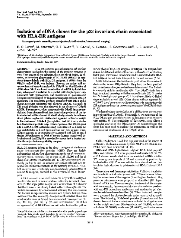 (PDF) Isolation of cDNA clones for the p33 invariant chain associated with HLA-DR antigens