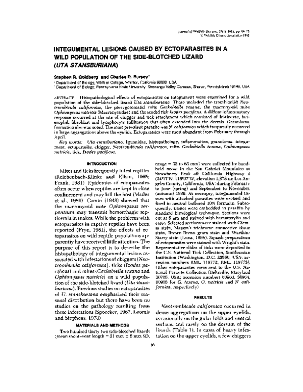 Pdf Integumental Lesions Caused By Ectoparasites In A Wild Population