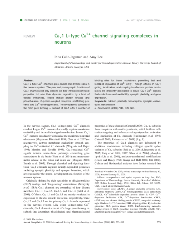 (PDF) Cav1 L-type Ca2+channel signaling complexes in neurons | Amy Lee ...