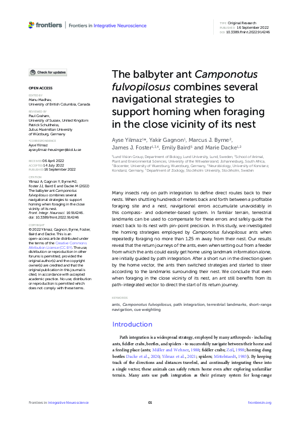 (PDF) The balbyter ant Camponotus fulvopilosus combines several ...