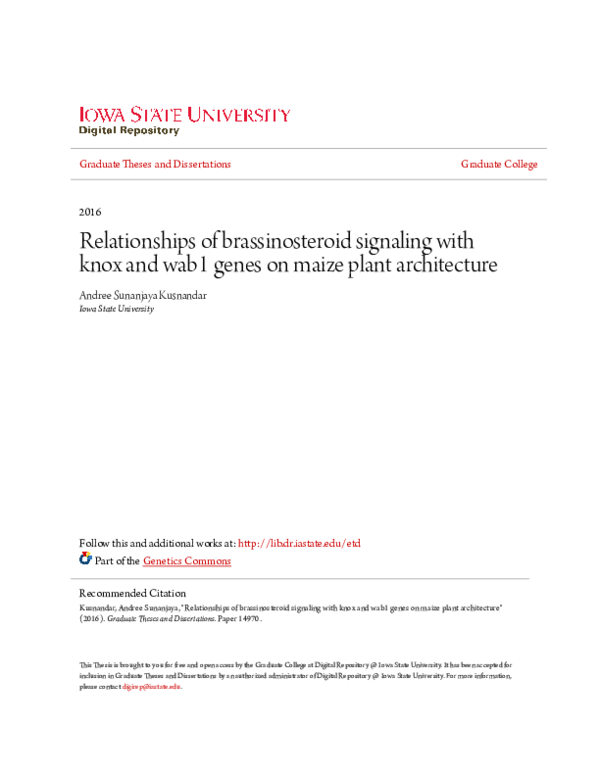 (PDF) Relationships of brassinosteroid signaling with knox and wab1 ...